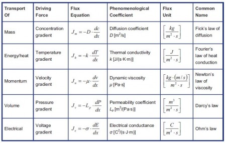 Different Kinds of Transport - QS Study