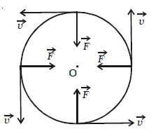 Explain Centripetal Force - QS Study
