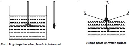 Experiments to Demonstrate Surface Tension - QS Study