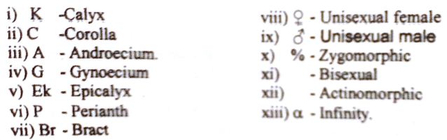 What Is Floral Formula QS Study