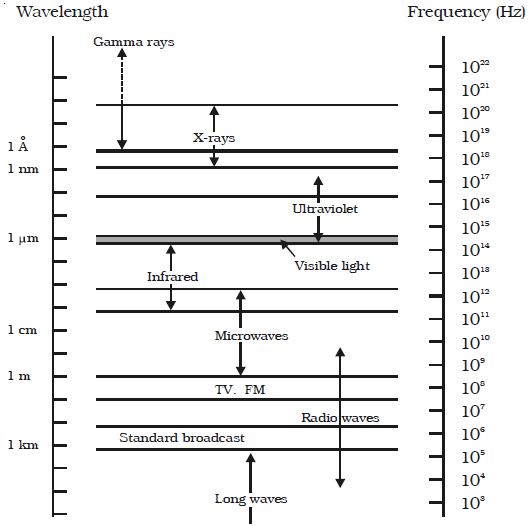 Define and Describe on Electromagnetic Spectrum - QS Study