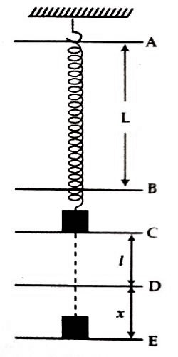 Experiment: Determination of the Spring Constant - QS Study