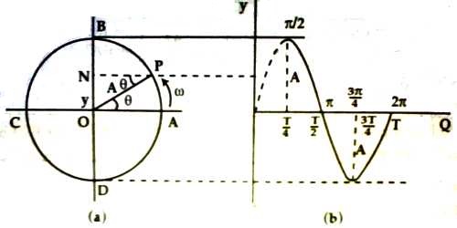 Relation between Simple Harmonic Motion and Circular Motion - QS Study Relation between Simple Harmonic Motion and Circular Motion - QS Study