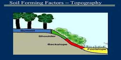 Topography: Soil Forming Factor - QS Study