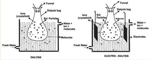 Purification of Colloids: Dialysis and Electrodialysis - QS Study