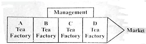 Horizontal Combination QS Study Horizontal Combination QS Study