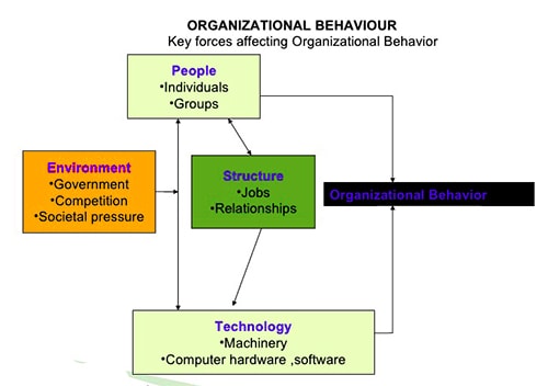 Key forces affecting Organizational Behavior - QS Study Key forces affecting Organizational Behavior - QS Study