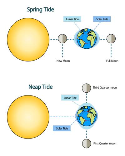 Types of Tides based on the Sun, Moon, and the Earth Positions - QS Study