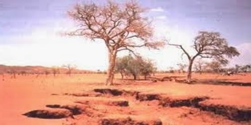 Arid Soils in Indian Subcontinent - QS Study Arid Soils in Indian Subcontinent - QS Study