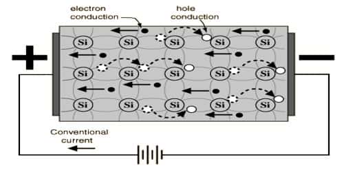 Explain Structure of Typical Cell - QS Study Explain Structure of Typical Cell - QS Study