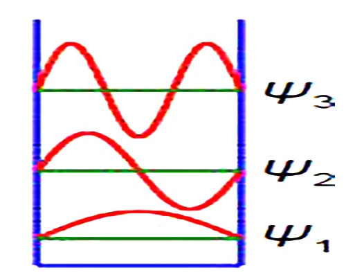 Particle in A One-Dimensional Box - QS Study