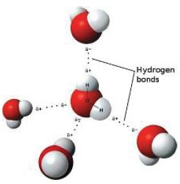 Simple Molecular Structures - QS Study