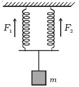 Explain When two Springs are Connected in Parallel - QS Study