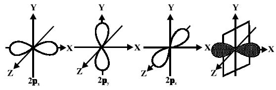 Explain Shape of P-Orbitals - QS Study