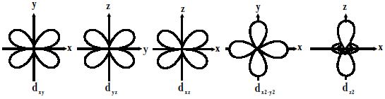 Explain Shape of D-Orbitals - QS Study