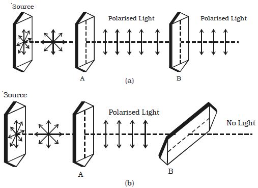 Explain Polarization of Transverse Waves - QS Study