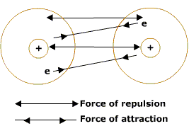 Intermolecular Forces - QS Study