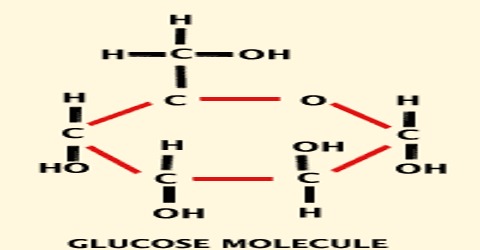 How Structure of Glucose Molecule can be Identify? - QS Study