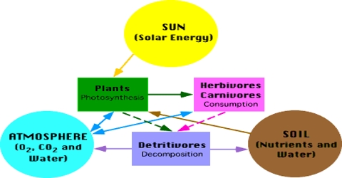 Inter Relation of the Environmental Components and their Inter ...