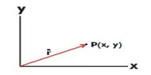 Radius Vector - QS Study