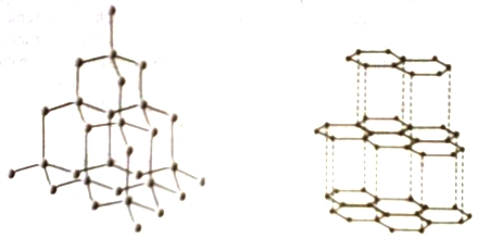 Covalent Bond Structure