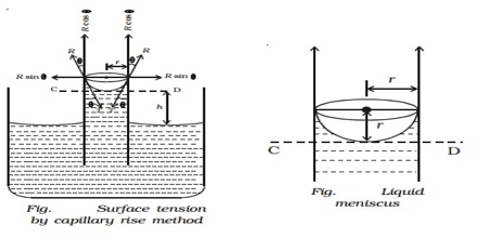 Measurement of Surface Tension in Capillary Rise Method - QS Study
