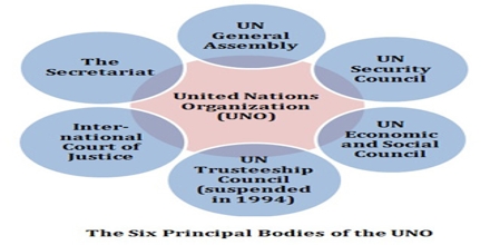 United Nation Organization - QS Study