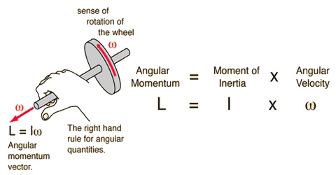 Vector form of Angular Momentum - QS Study