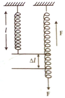 Elastic Force - QS Study