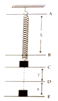 Experiment Determination Of Potential Energy Of A Spring