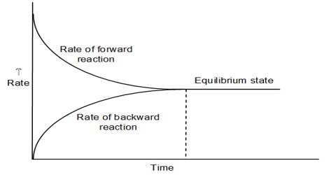 Criteria of Chemical Equilibrium - QS Study
