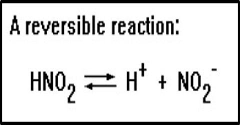 Reversible Reactions - QS Study