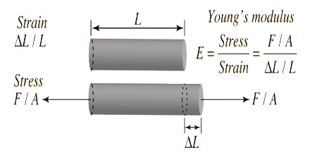 Young's Modulus - QS Study