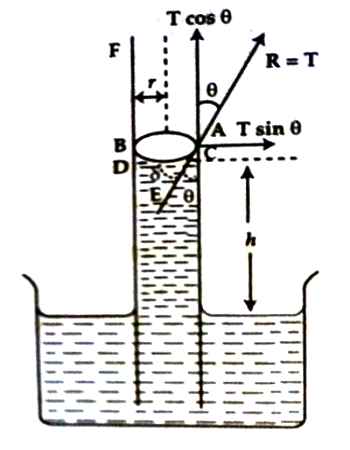 Explanation: Water with Capillary Tube Depending on Angle of Contact ...