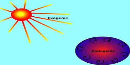 Endogenous Processes On Earth