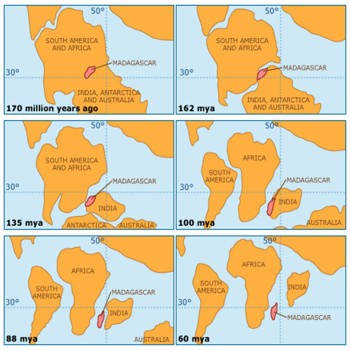 Movement of the Indian Plate - QS Study