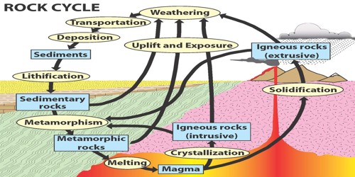 Rock Cycle - QS Study