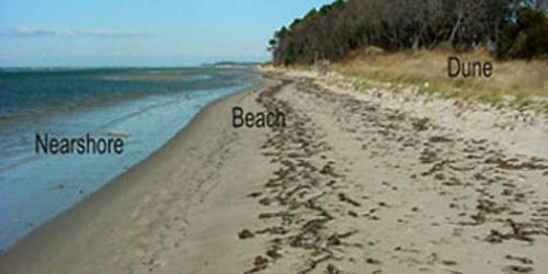 Beaches and Dunes: Depositional Landforms - QS Study