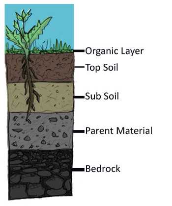 Parent Material: Soil Forming Factor - QS Study