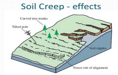 Slow Movements - QS Study