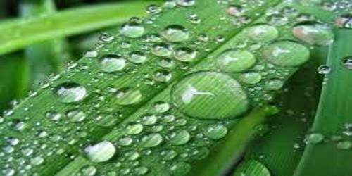 Dew in the atmosphere - QS Study