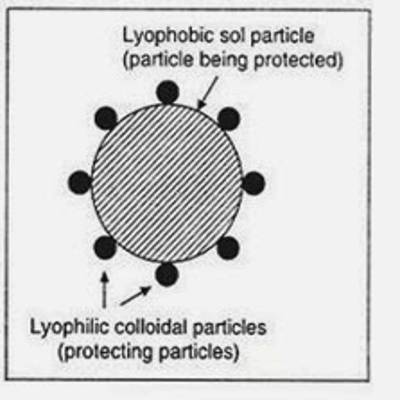 Lyophobic and Lyophilic Sols - QS Study