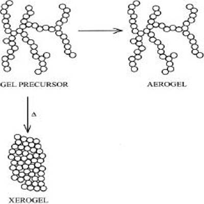 Syneresis - QS Study