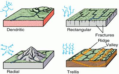 Important Drainage Patterns - QS Study