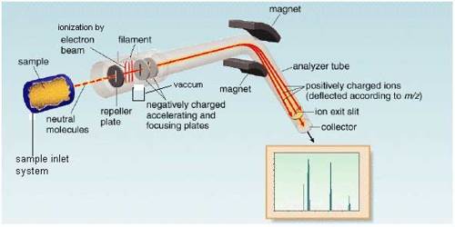 How a Mass Spectrometer Works? - QS Study