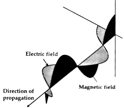 Electromagnetic Theory of Wave - QS Study