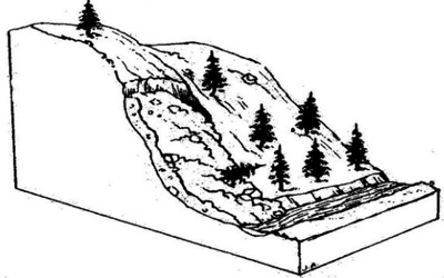 Consequences of Landslides - QS Study