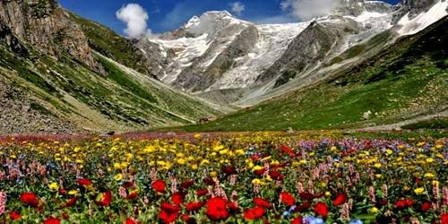 Nanda Devi Biosphere Reserves Environmental Profile Of Nanda Devi