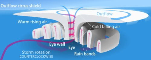 Structure of Tropical Cyclone - QS Study