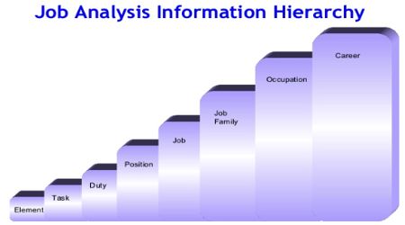 Job Analysis Information Hierarchy - QS Study